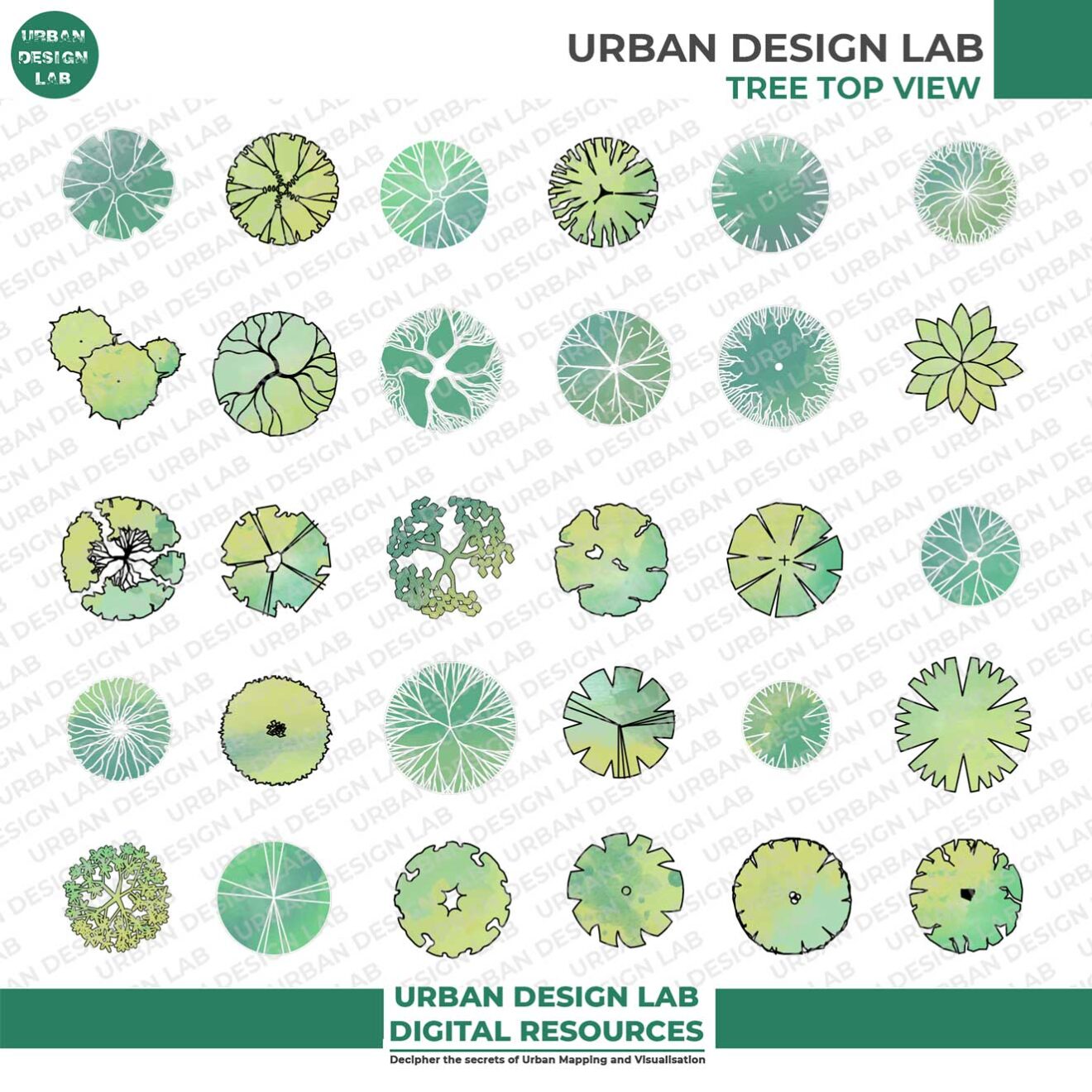 Illustrated Tree Top View | Urban Design Lab