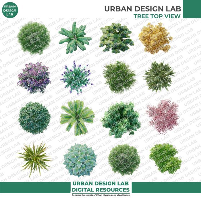 Realistic Trees Top View | Urban Design Lab