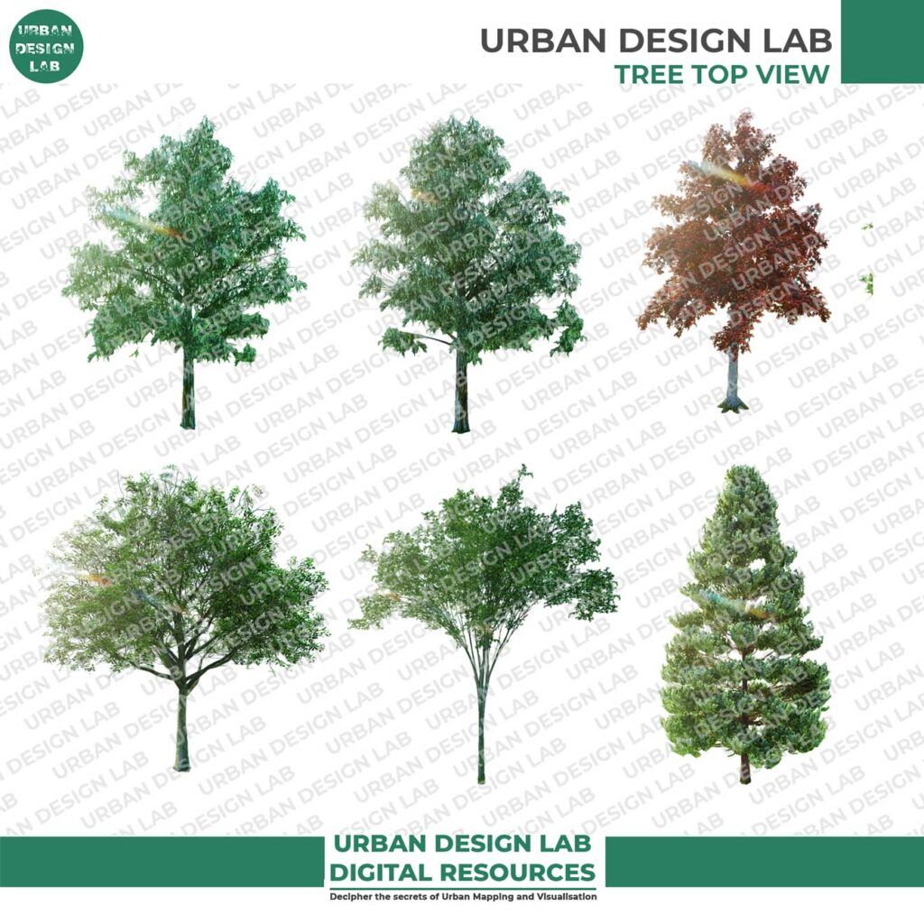 Realistic Trees Elevational View | Urban Design Lab