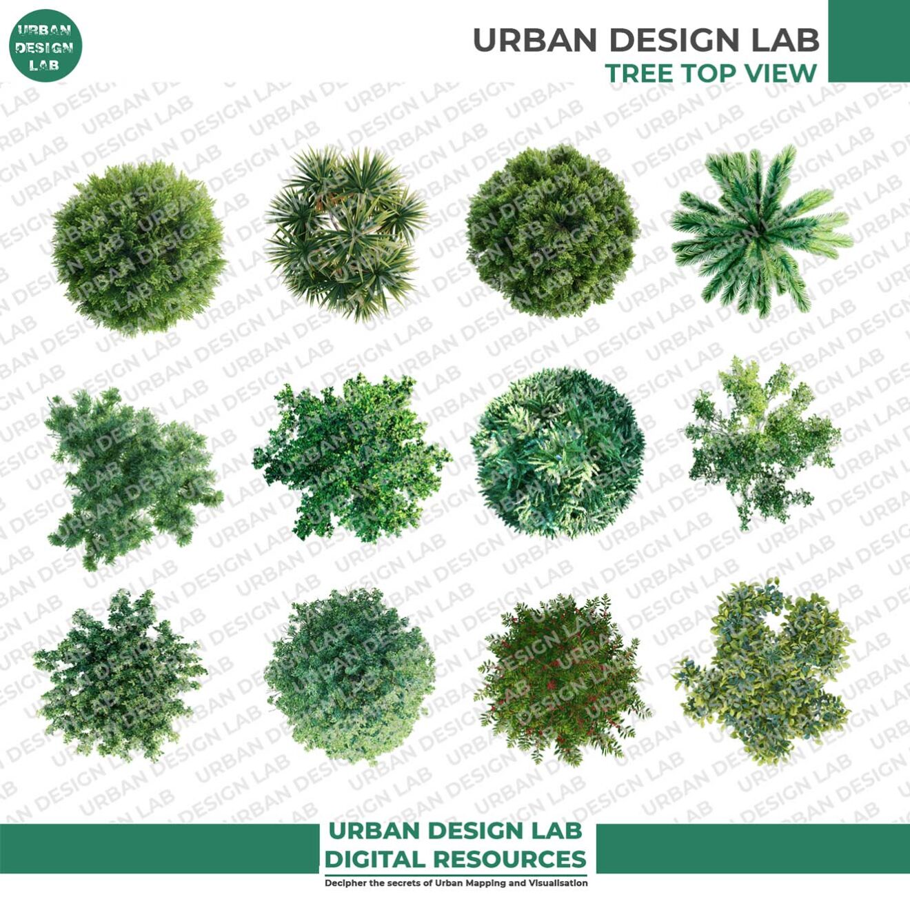 Realistic Trees Top View | Urban Design Lab