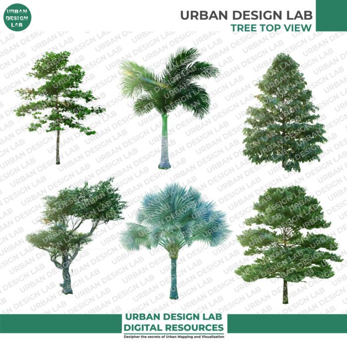 Realistic Trees Elevational View | Urban Design Lab