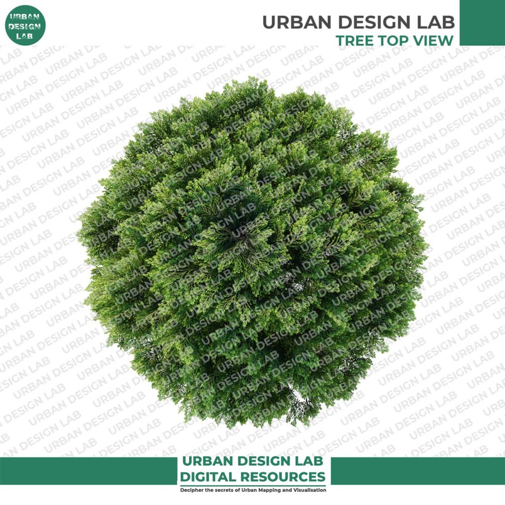 Realistic Trees Top View | Urban Design Lab