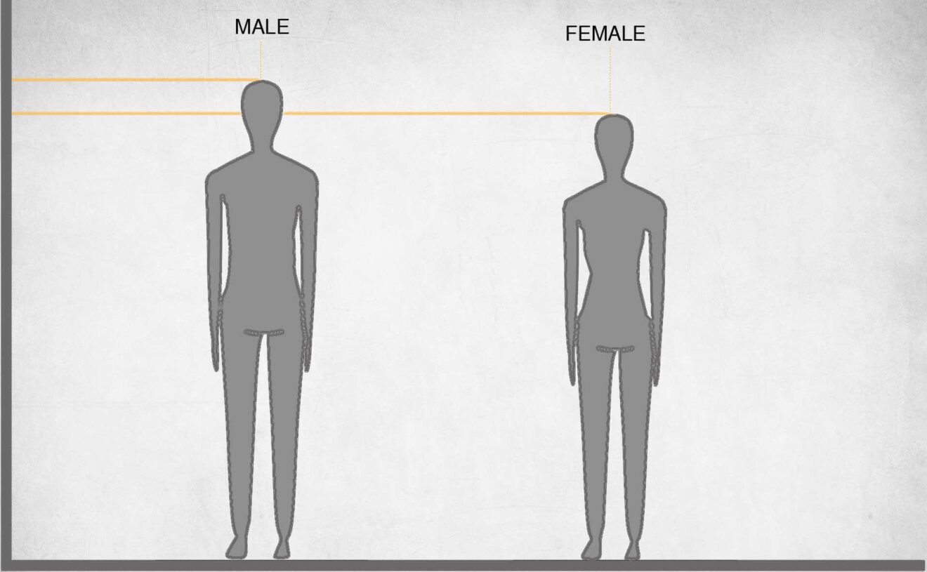 Anthropometry In Architecture Design | Urban Design Lab