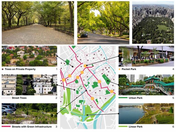 Stepping Into Our Backyard: Urbanization And Ecosystem