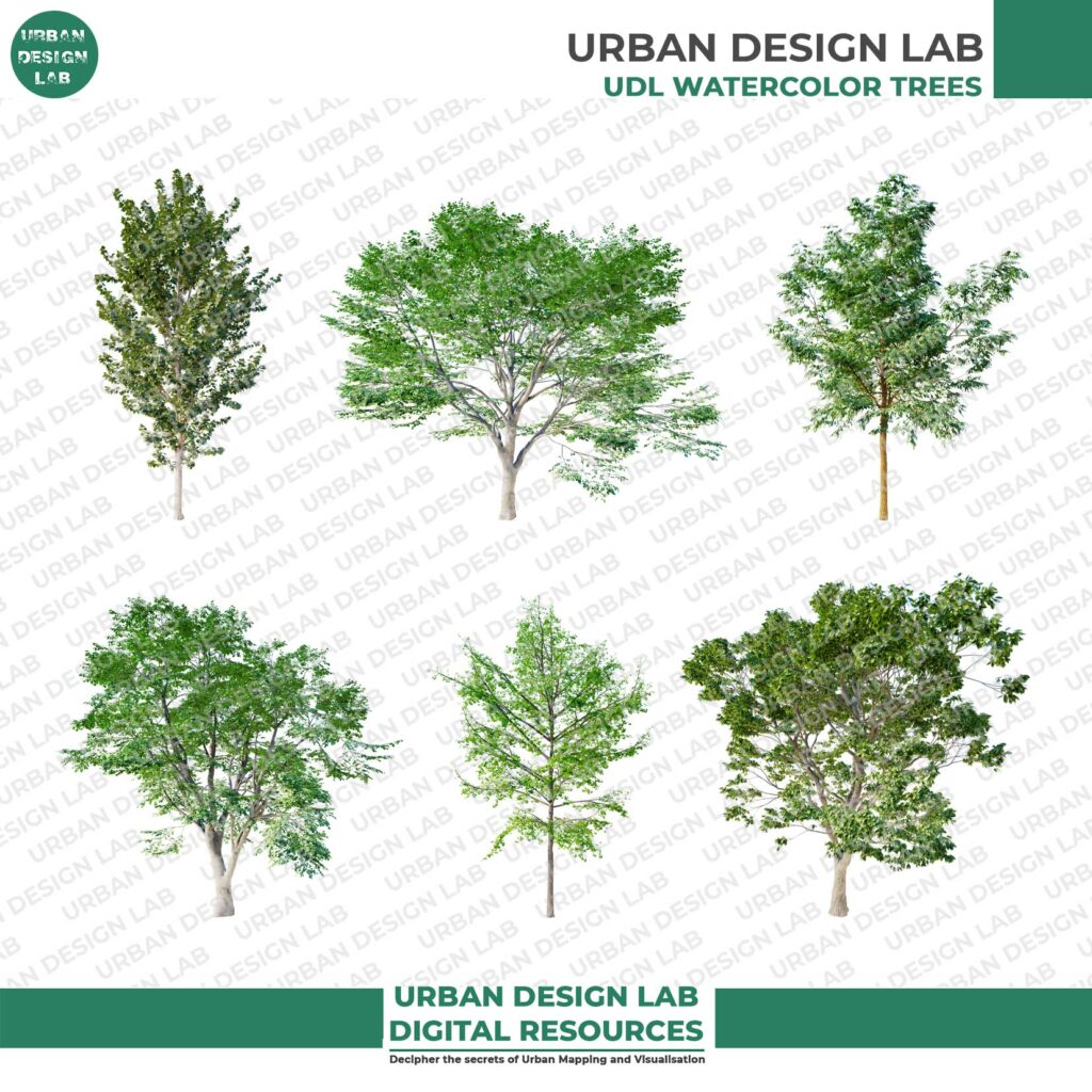 Set Of 30 Realistic Trees With Transparent Background