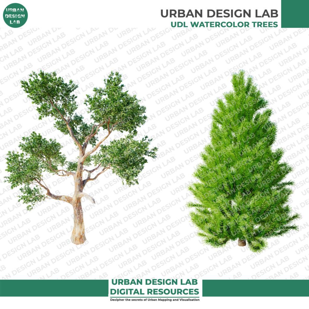 Set Of 30 Realistic Trees With Transparent Background