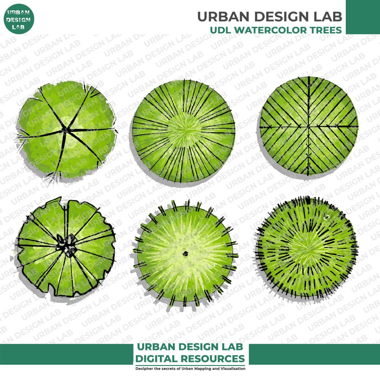 Architecture Tree Top View