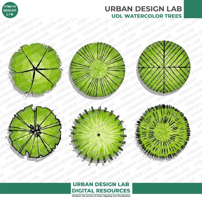 Architecture Tree Top View