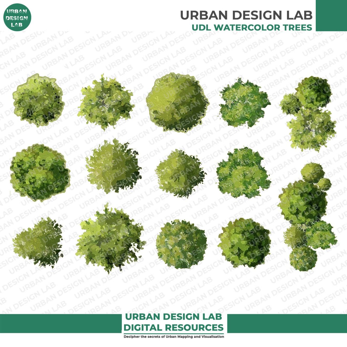 Watercolor Trees Top View