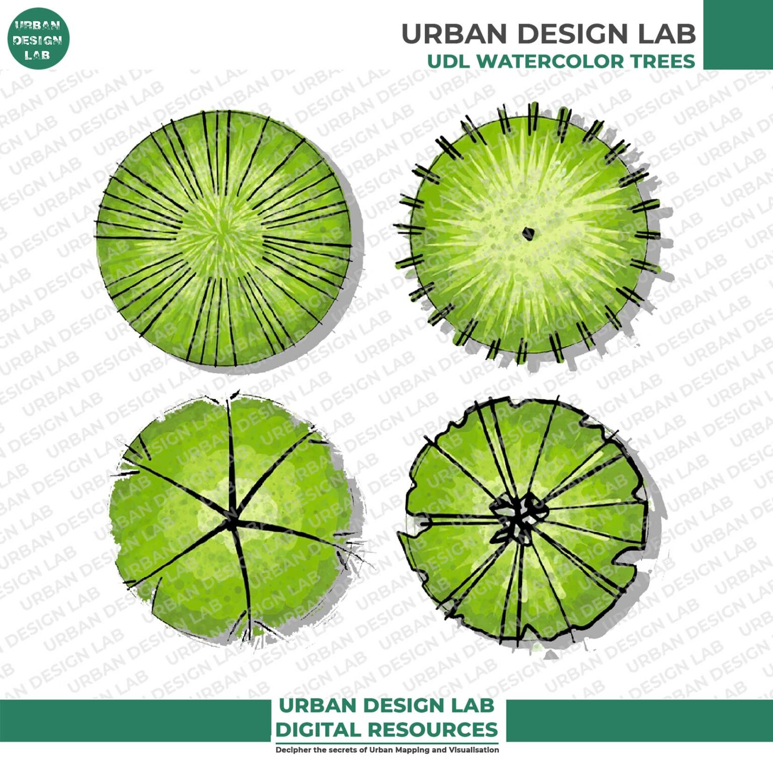 Architecture Tree Top View