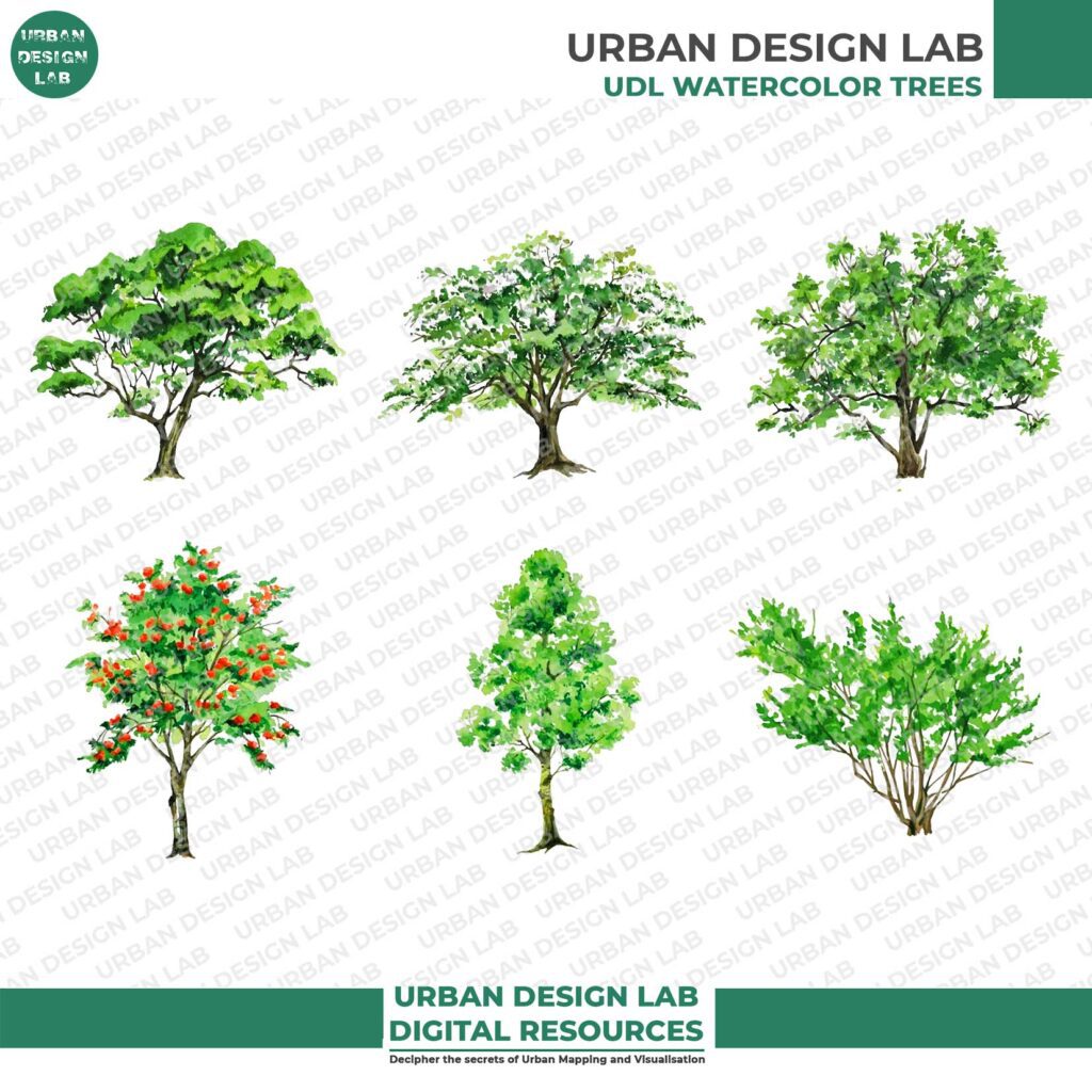 18 Stunning Watercolor Trees For Architecture Drawings