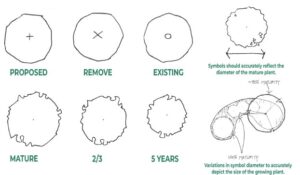 Graphics For Landscape Architecture