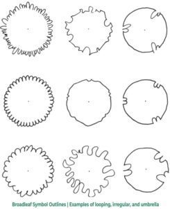 Graphics For Landscape Architecture