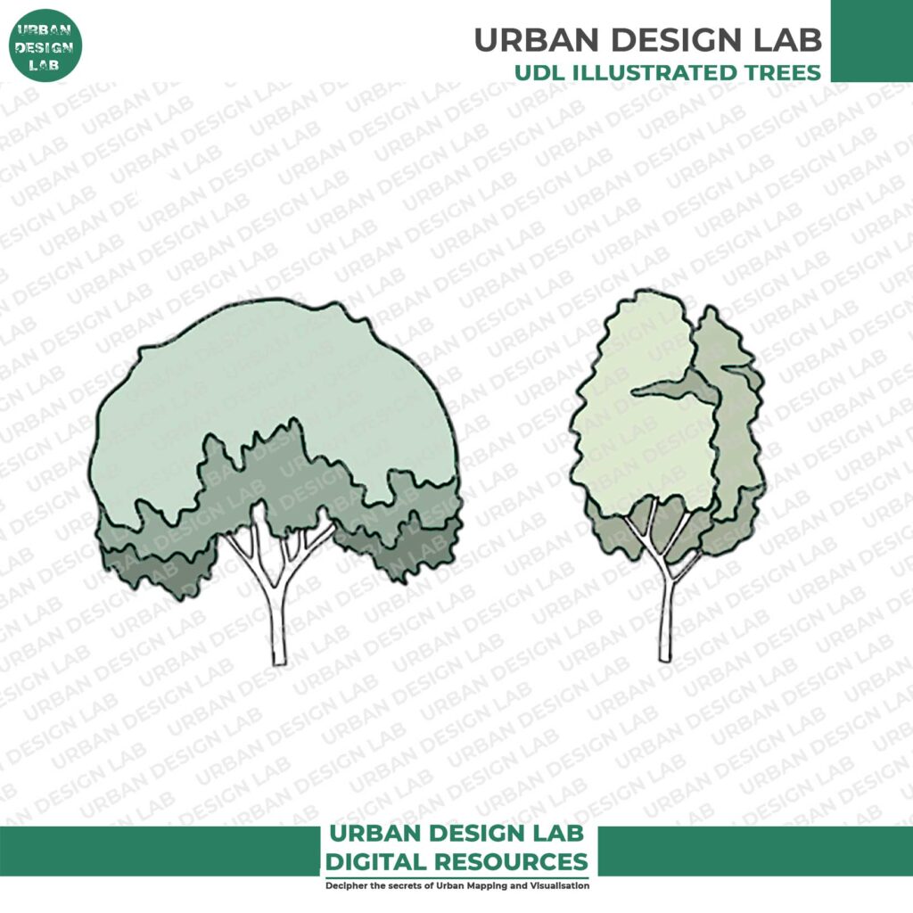 17 Illustarted Trees For Architecture Drawing