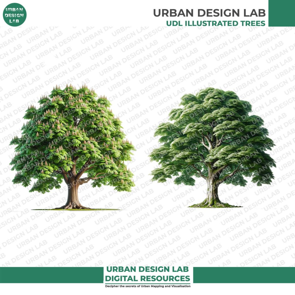 Realistic Trees For Architecture Drawing
