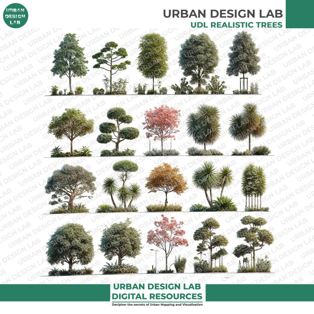 100 Real Trees PNG Transparent Images