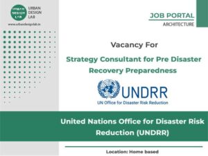 Strategy Consultant For Pre Disaster Recovery Preparedness | United ...