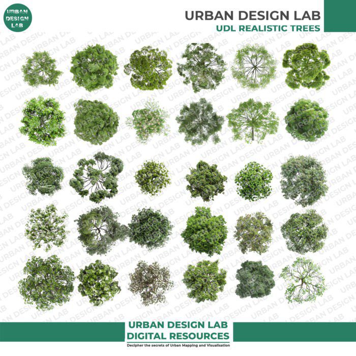 Top View Tree PNG Transparent Images