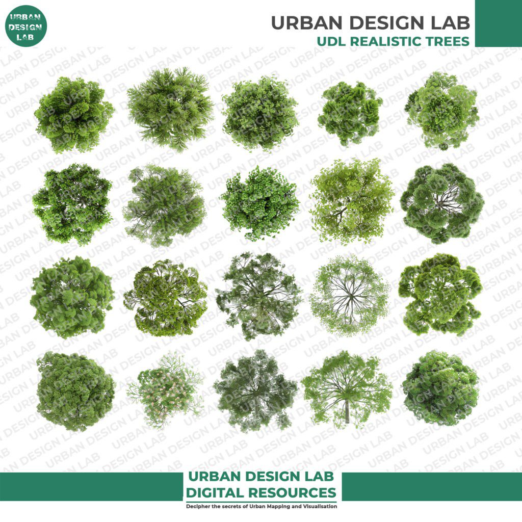 Top View Tree PNG Transparent Images