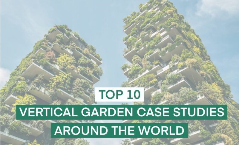 Top 10 Vertical Garden Case Studies Globally