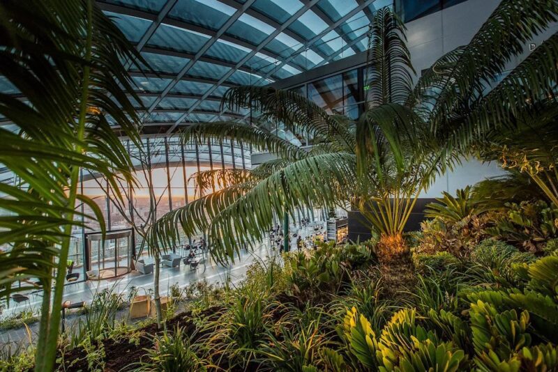 Top 10 Vertical Garden Case Studies Globally