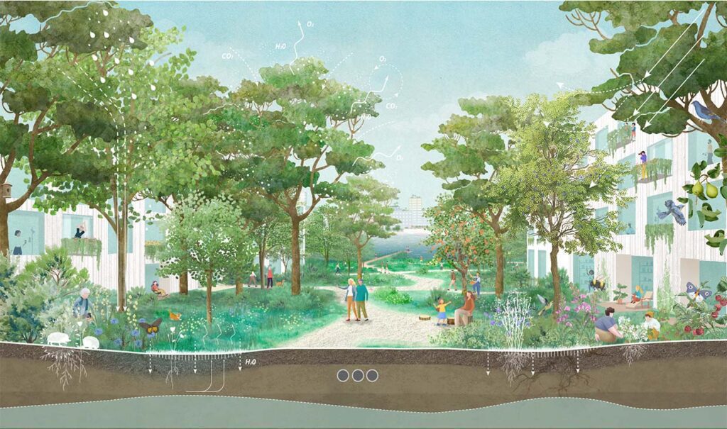 Sponge Cities Explained