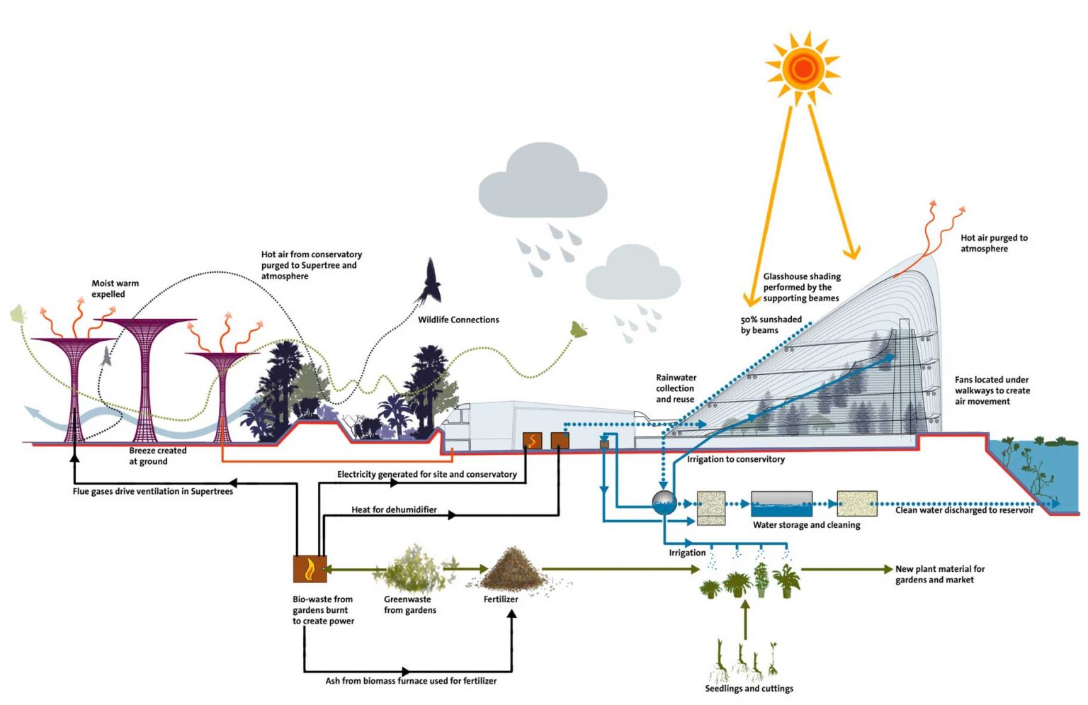 Urban Heat Island Effect: Mitigation Strategies For Cooler Cities